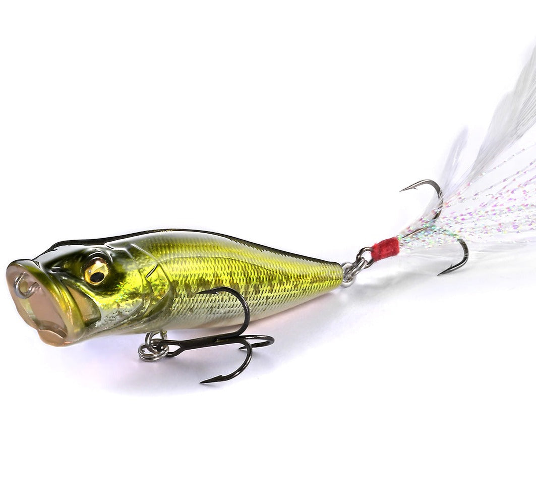 Pop X – Anglers Central