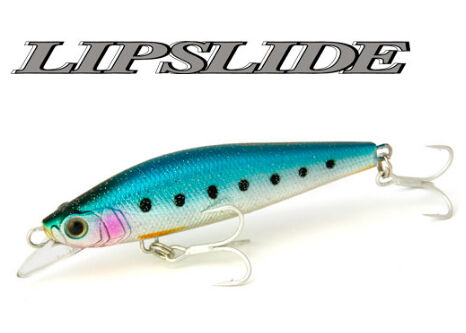 Lip Slide 110mm 38g – Anglers Central