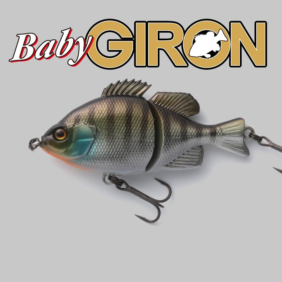 Baby Giron – Anglers Central