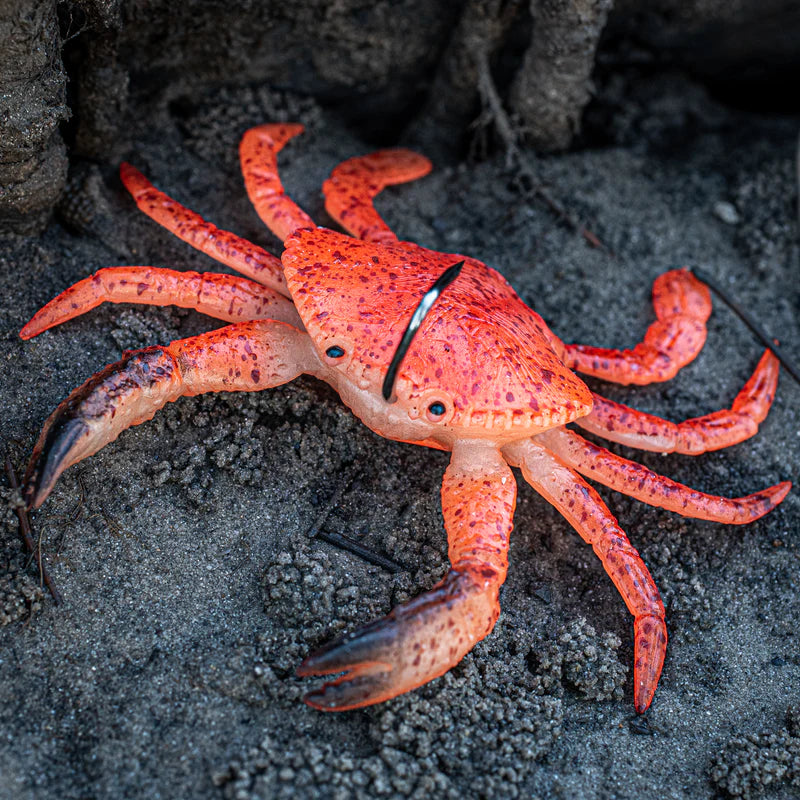 Smash Crab – Anglers Central