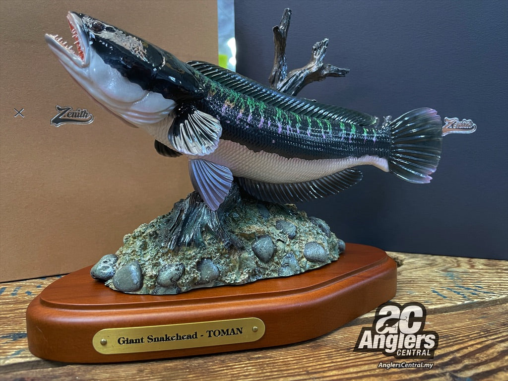 Toman by Zenith – Anglers Central