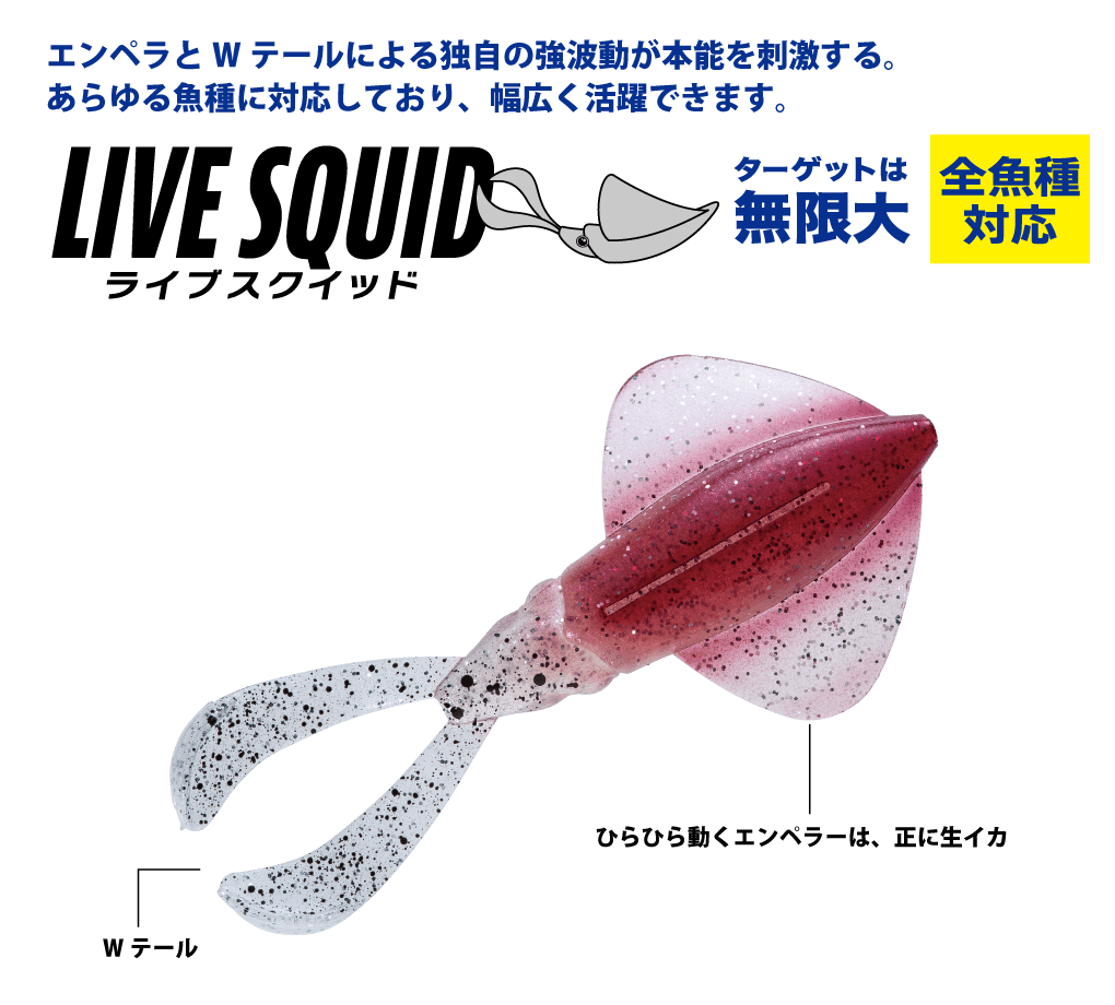 Live Squid – Anglers Central